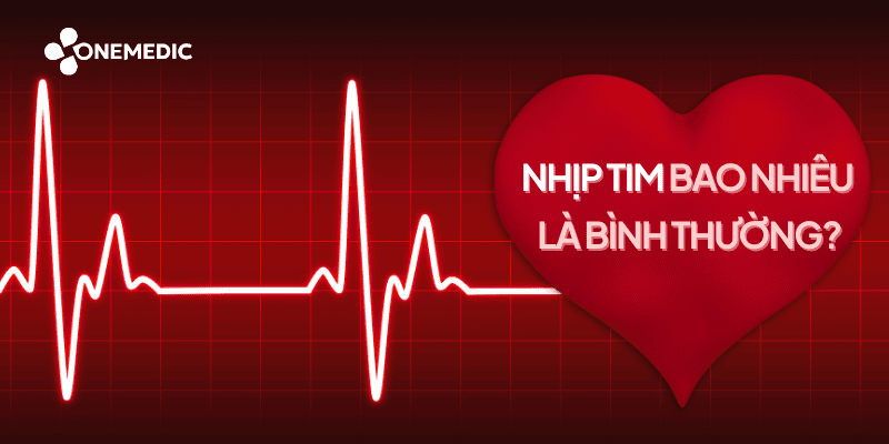 Nhịp tim là gì? Bao nhiêu là bình thường?